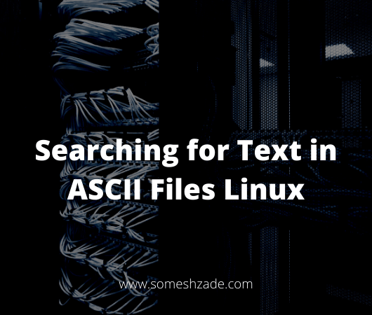 Searching for Text in ASCII Files Linux